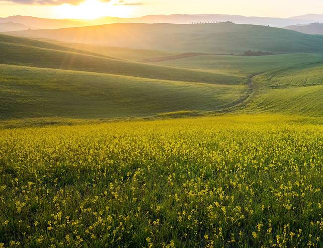 Nos offres pour profiter de moyens de transport moins polluants | CIC